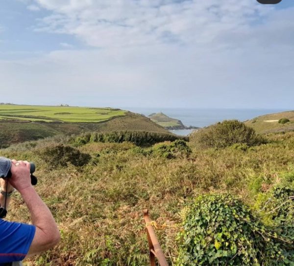 Where to Watch Birds in Cornwall | Best Places to go Birding in Cornwall